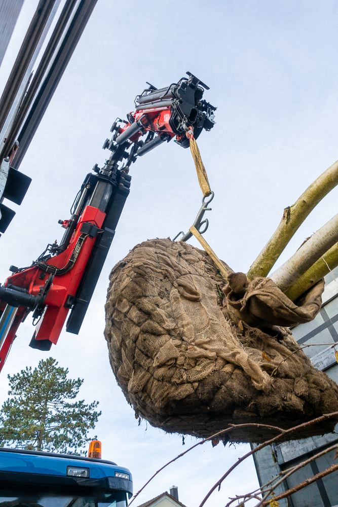 LKW Kran Basel bis 30 m // mit Greifer // Nussbaumer